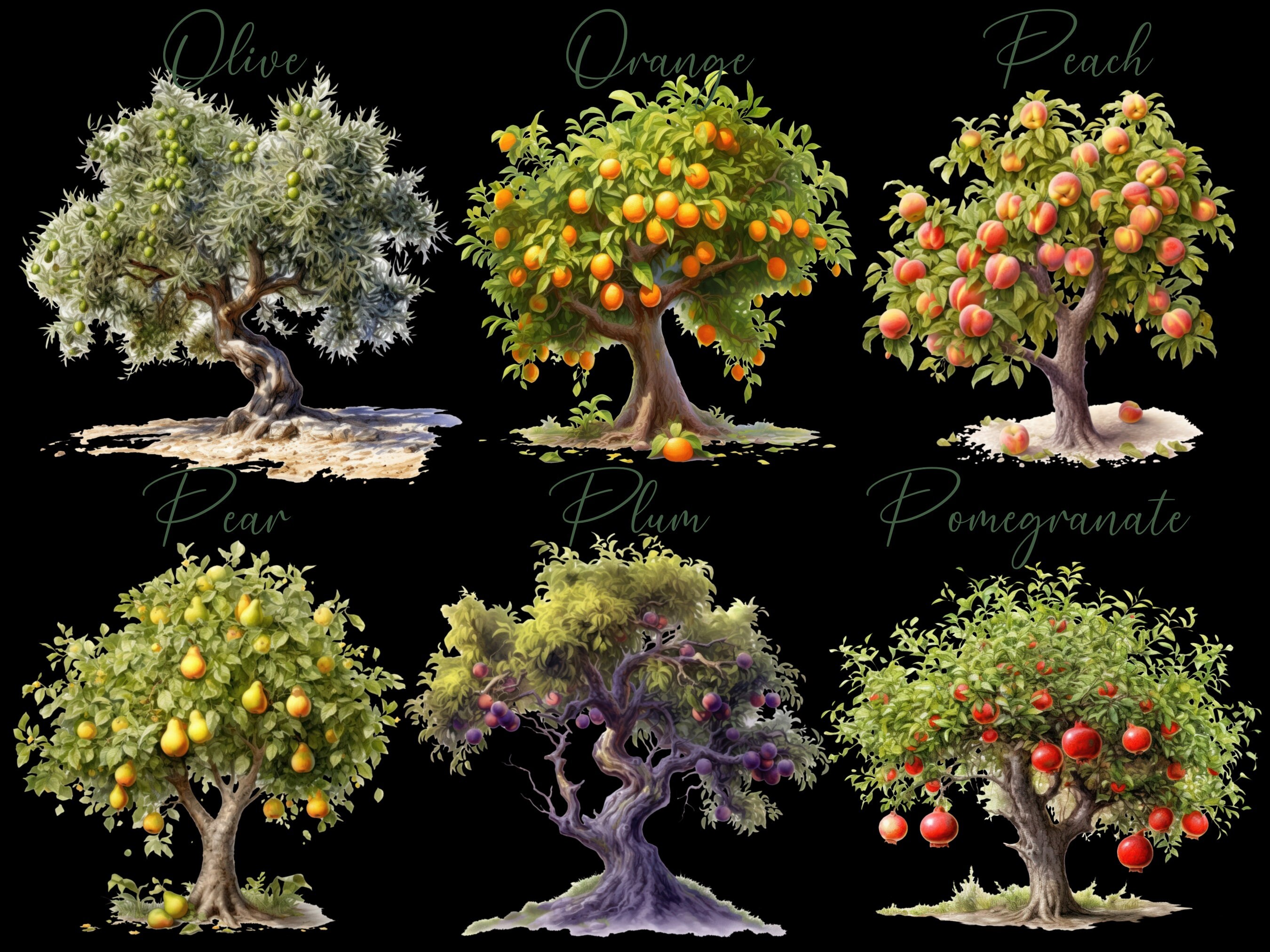 Garden Fruit Tree Clipart, Farm Plants Images Bundle, Summer & Fall ...