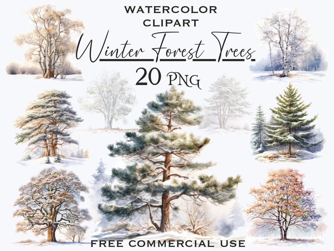 Winter Forest Trees Clipart, Snowy Tree Png Bundle, Watercolor Winter ...