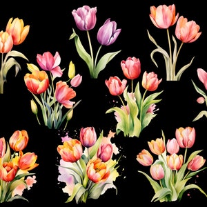 Watercolor Tulip PNG Bundle, Watercolor Flowers Clipart, Digital Floral ...