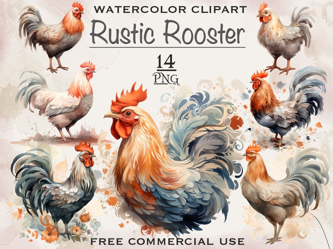 Watercolor Rooster PNG Bundle, Watercolor Chicken Clipart, Farm Animal ...