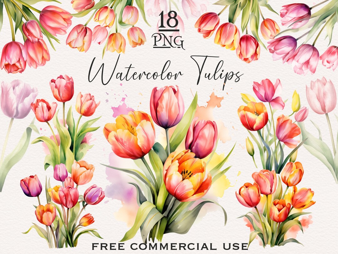 Watercolor Tulip PNG Bundle, Watercolor Flowers Clipart, Digital Floral ...