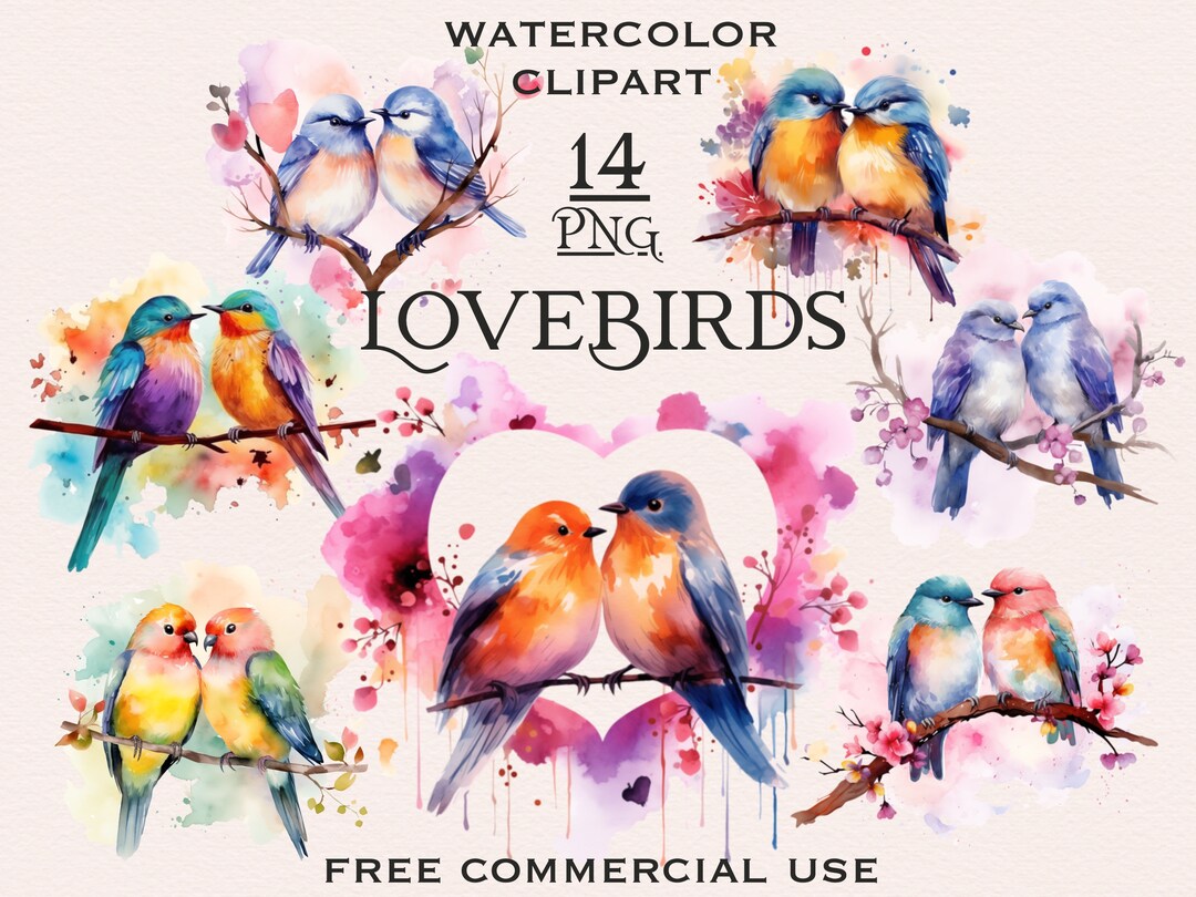 Love Birds Clipart, Bird Couple Valentine, Watercolor Birds Png, Bird ...