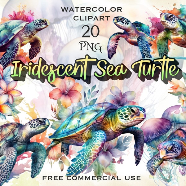 Turtle Clipart - Etsy
