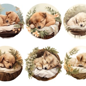 Sleeping Puppy PNG Bundle, Watercolor Dog Png Bundle, Baby Animals Png ...