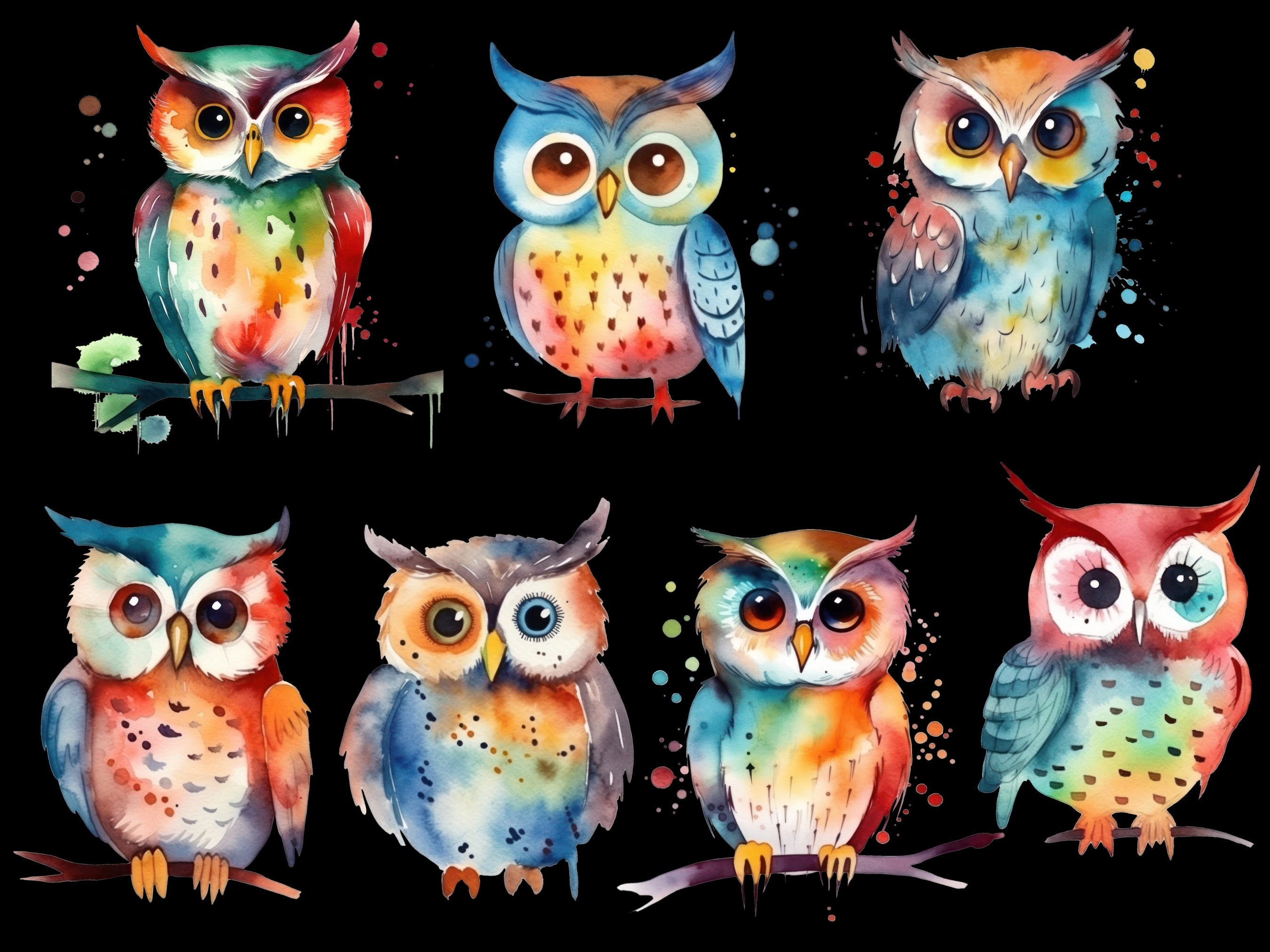 Watercolor Rainbow Owl Clipart Primitive Owls Png Bundle - Etsy