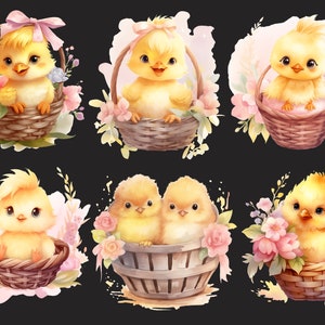 Cute Chick PNG Bundle, Easter Chick Png, Funny Chicks Png, Baby Animal ...