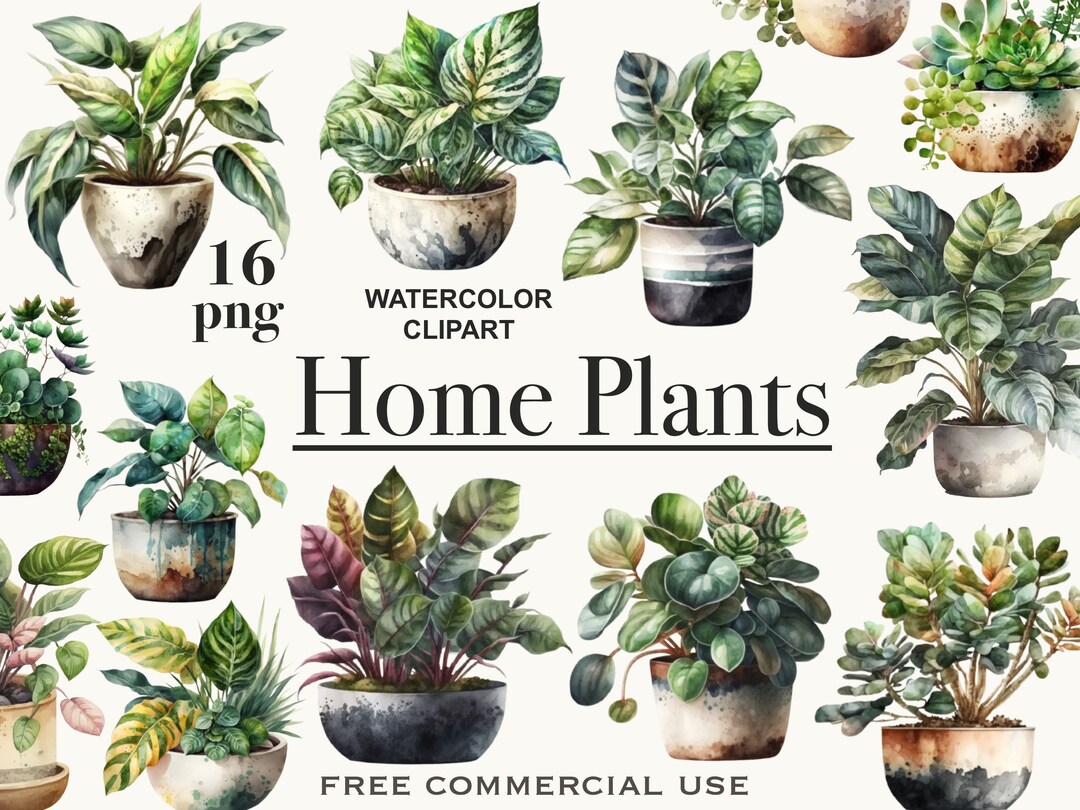 House Plants Clipart, Home Tropical Plants, Potted Plants Png, Indoor ...