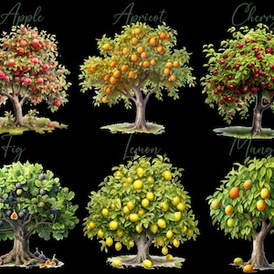 Garden Fruit Tree Clipart, Farm Plants Images Bundle, Summer & Fall ...