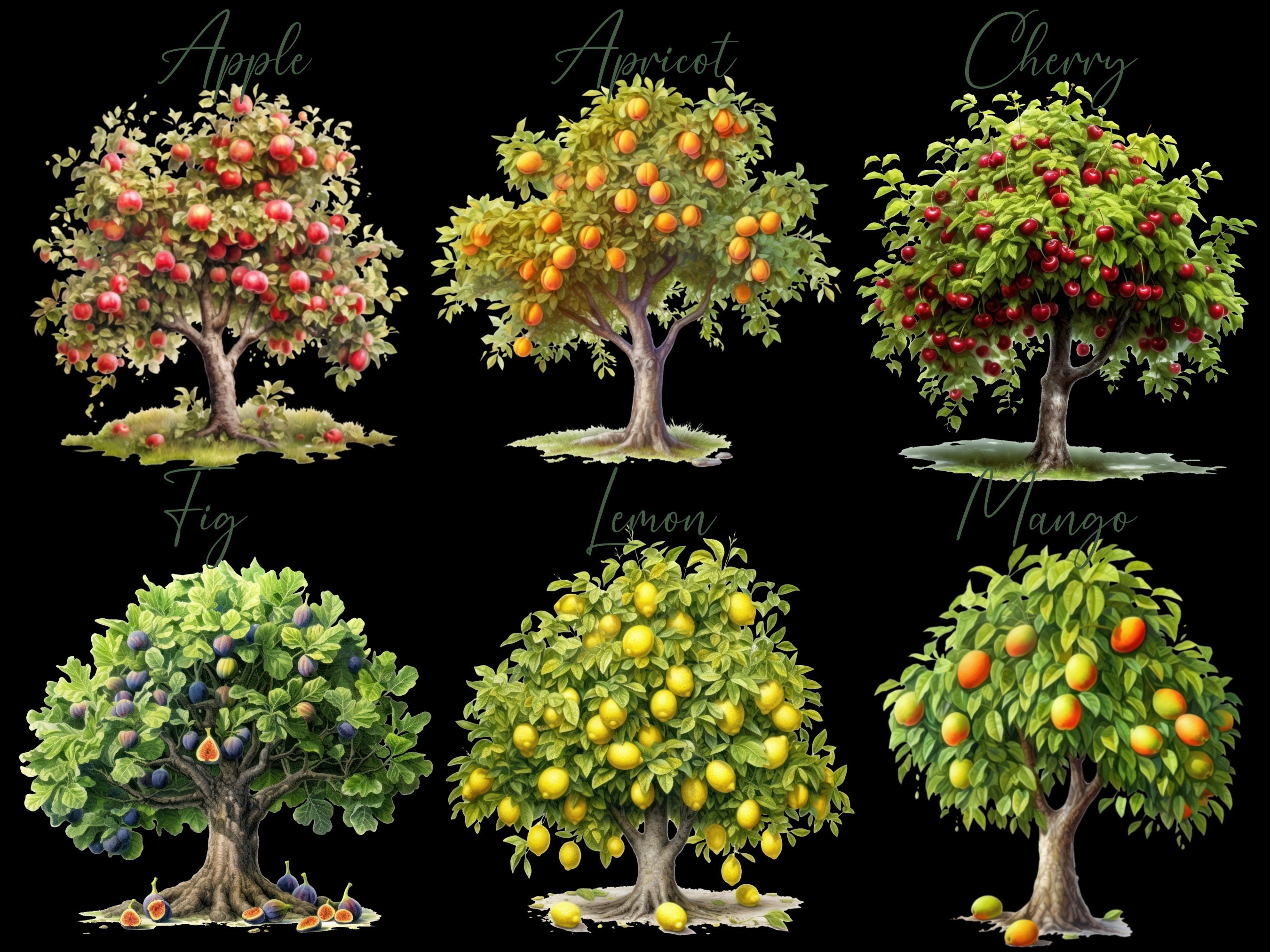 Garden Fruit Tree Clipart, Farm Plants Images Bundle, Summer & Fall ...