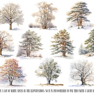 Winter Forest Trees Clipart, Snowy Tree Png Bundle, Watercolor Winter ...