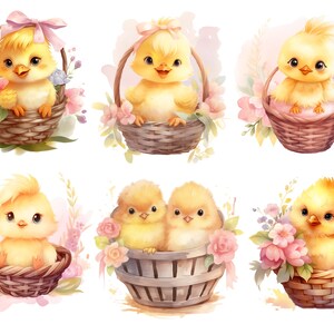 Cute Chick PNG Bundle, Easter Chick Png, Funny Chicks Png, Baby Animal ...