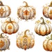White and Gold Pumpkin Png, Watercolor Fall Clipart Bundle, Autumn ...