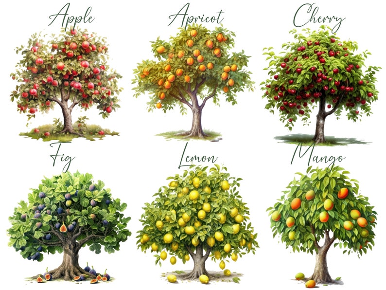 Garden Fruit Tree Clipart, Farm Plants Images Bundle, Summer & Fall ...