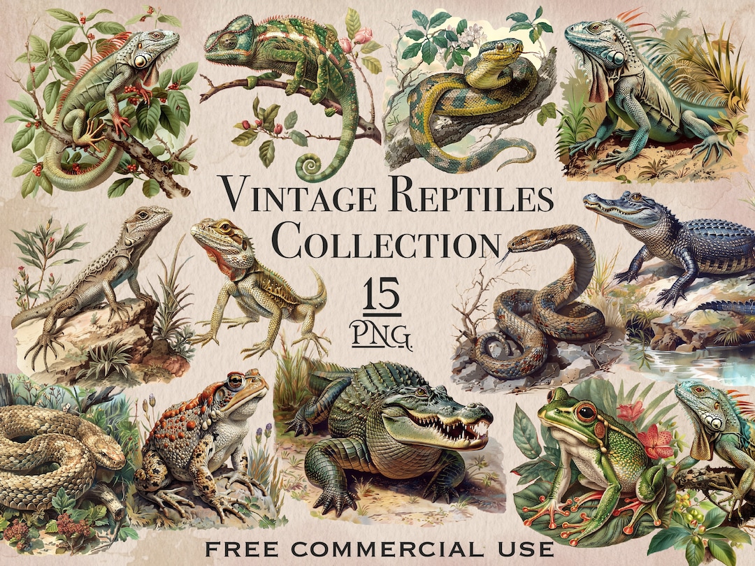 Vintage Reptiles PNG Bundle, Biology Digital Downloads, Vintage Animal ...