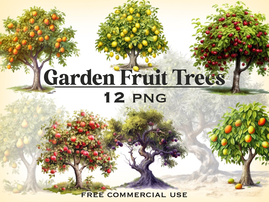 Garden Fruit Tree Clipart, Farm Plants Images Bundle, Summer & Fall ...