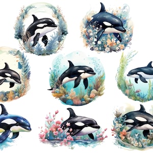 Watercolor Orca Png Bundle, Floral Orca Whale Design, Cute Sea Animal ...