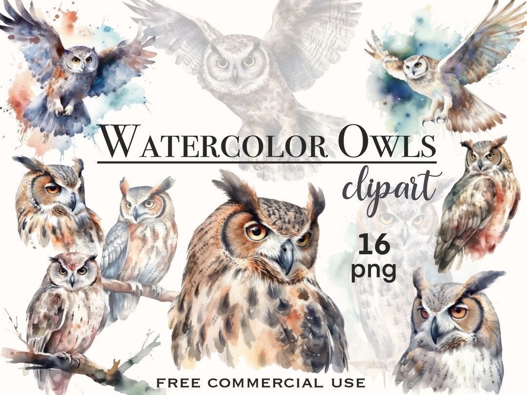 Watercolor Owl Png, Horned Owl Bundle, Watercolor Clipart, Flying Birds ...