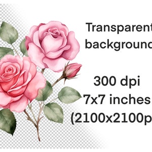 Pink Roses PNG Bundle, Watercolor Flowers Clipart, Floral Wreath Png ...