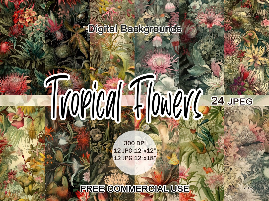 Tropical Flowers & Leaves Clipart, Floral Ephemera Background Images ...