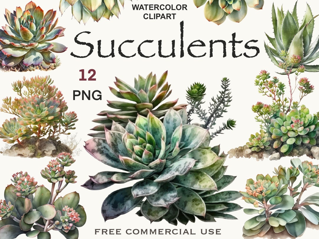 Watercolor Succulent Clipart, Succulent Png, Watercolor Clipart ...