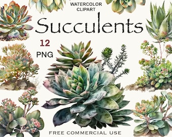 Watercolor Succulent Clipart, Succulent Png, Watercolor Clipart ...