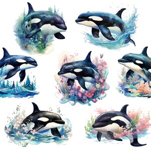 Watercolor Orca Png Bundle, Floral Orca Whale Design, Cute Sea Animal ...