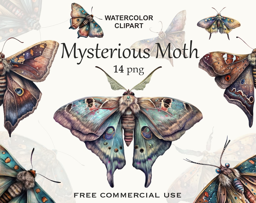 Celestial Moth Png, Luna Moth Art, Watercolor Butterfly Clipart ...