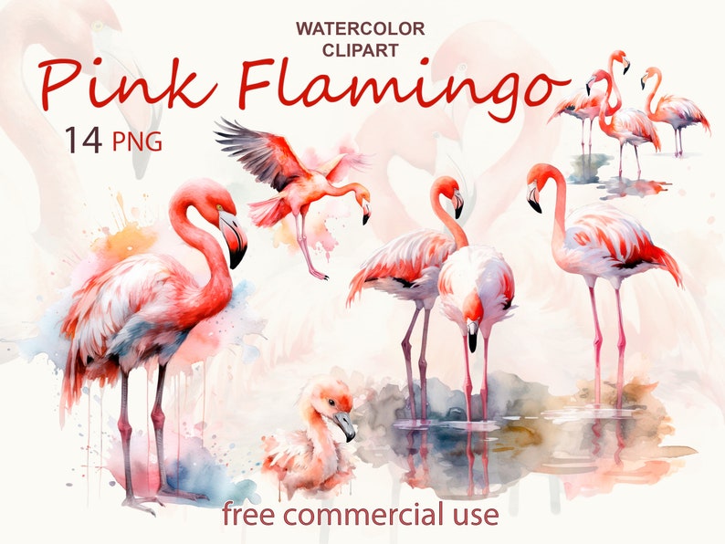 Pink Flamingo Clipart Pink Flamingo Png Watercolor Birds - Etsy