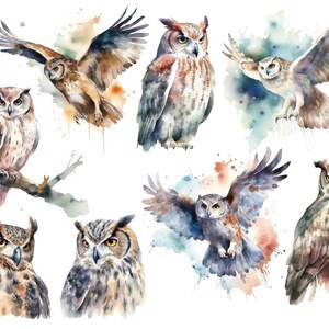 Watercolor Owl Png, Horned Owl Bundle, Watercolor Clipart, Flying Birds ...