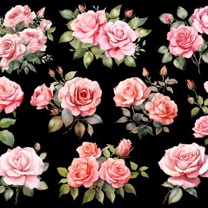 Pink Roses PNG Bundle, Watercolor Flowers Clipart, Floral Wreath Png ...