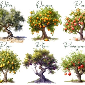 Garden Fruit Tree Clipart, Farm Plants Images Bundle, Summer & Fall ...