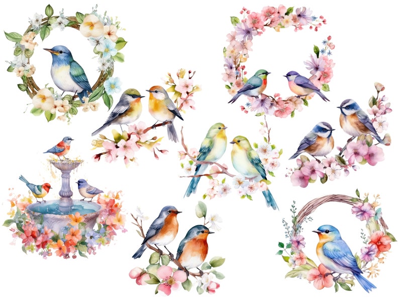 Little Bird Clipart Watercolor Birds Png Bird Clip Art - Etsy