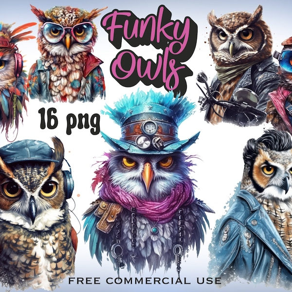 Funky Owl - Etsy