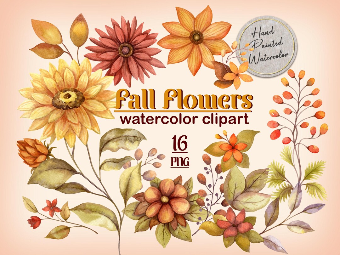 Fall Flower Watercolor Clipart, Hand Drawn Autumn Flowers PNG, Aster ...