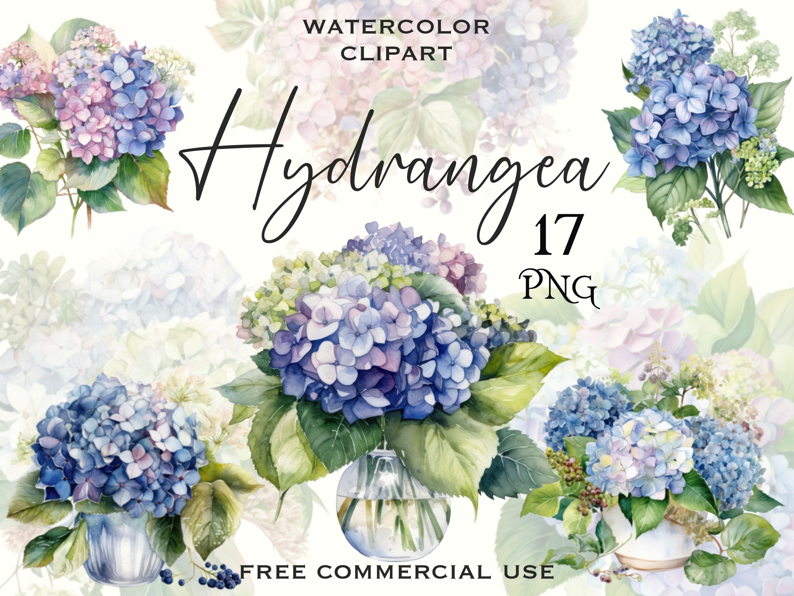 Free Hydrangea Clipart