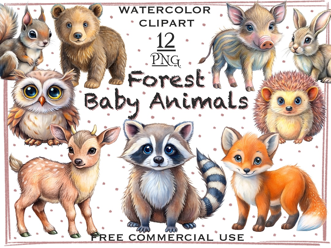 Forest Baby Animals Clipart Bundle, Funny Woodland Cubs Png Set, Cute ...