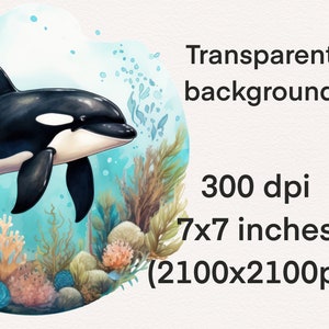 Watercolor Orca Png Bundle, Floral Orca Whale Design, Cute Sea Animal ...