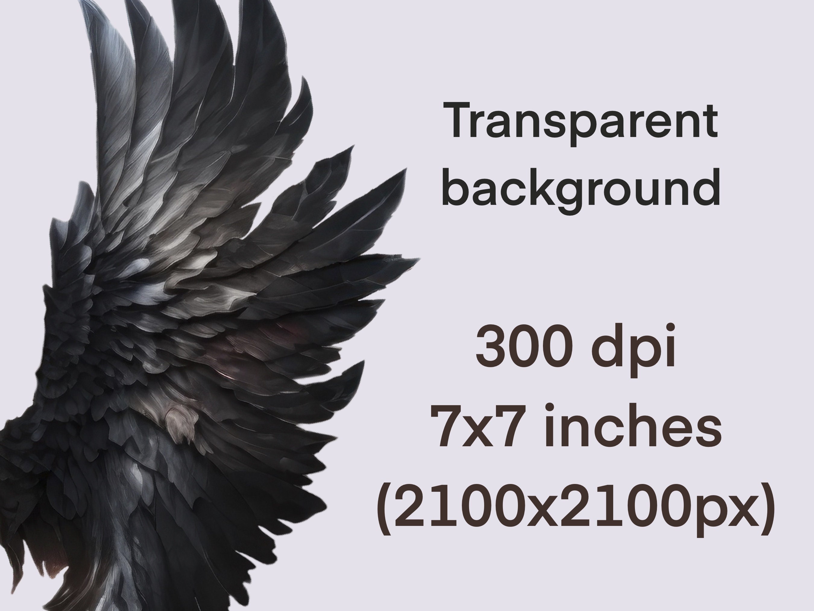 Black Angel Wings Transparent