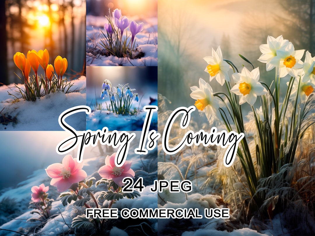 Spring Flowers Art Bundle, Printable Flower Clipart, Snowdrop, Crocus ...