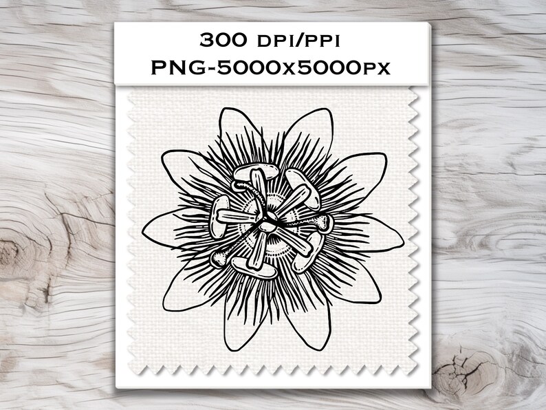 Passion Flower SVG Clipart Bundle, Black Outline + Gold Pngs Images ...