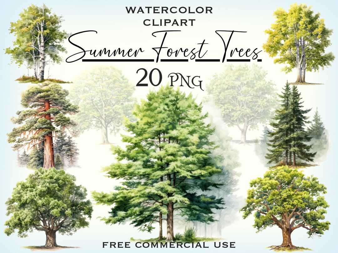 Summer Forest Trees Clipart, Tree Species Png Images Bundle ...