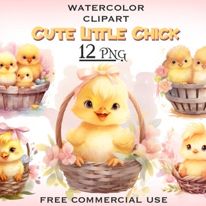 Cute Chick PNG Bundle, Easter Chick Png, Funny Chicks Png, Baby Animal ...