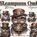 Steampunk Owl Clipart, Fantasy Bird Character Portaits Bundle ...