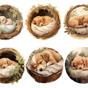 Sleeping Puppy PNG Bundle, Watercolor Dog Png Bundle, Baby Animals Png ...