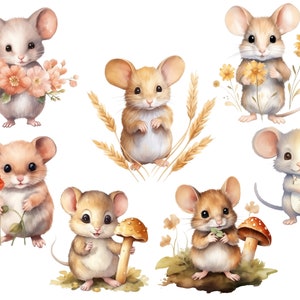 Cute Mouse PNG Bundle, Baby Animals Png, Mouse Watercolor Clipart ...
