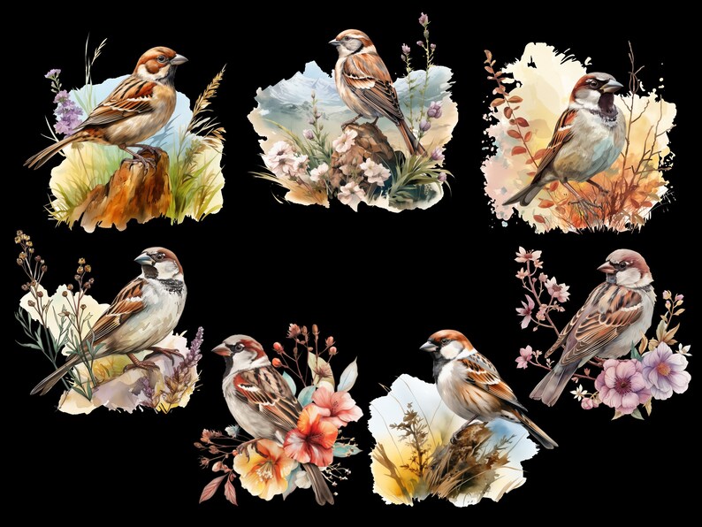 Watercolor Sparrow PNG Bundle, Bird Lover Clipart, Bird Watcher Floral ...