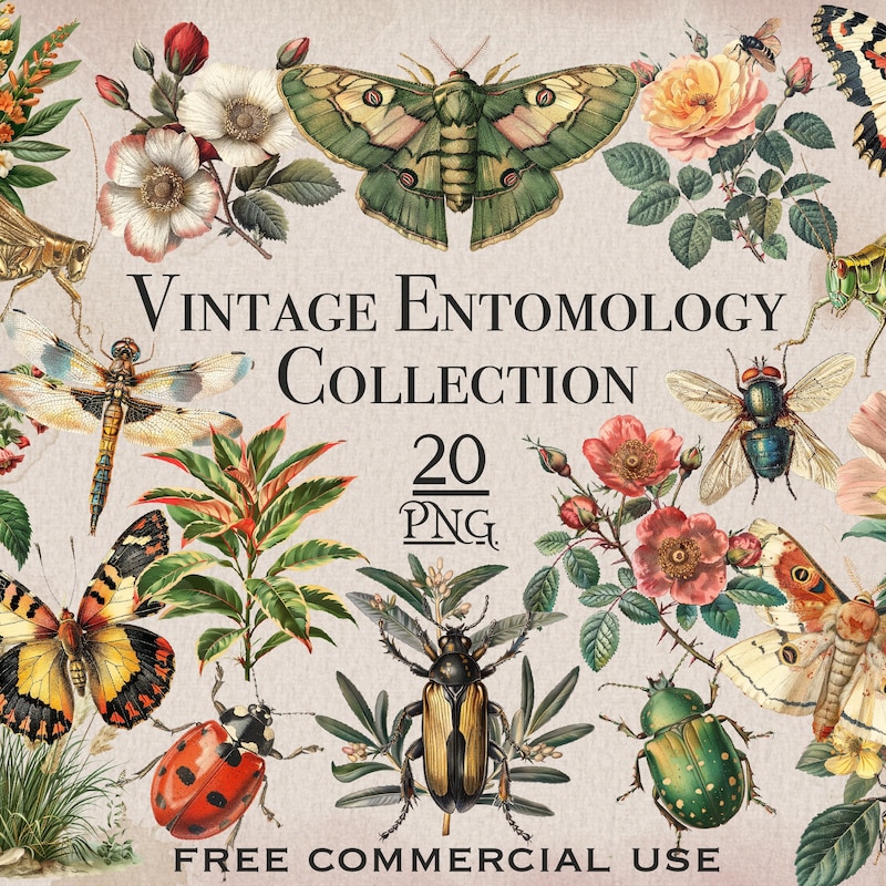 Insect Printed Photos - Etsy