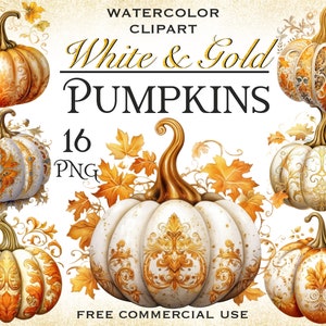White and Gold Pumpkin Png, Watercolor Fall Clipart Bundle, Autumn ...