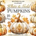 White and Gold Pumpkin Png, Watercolor Fall Clipart Bundle, Autumn ...