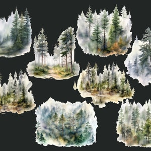 Foggy Pine Forest Clipart, Watercolor Woods Png Images Bundle, Misty ...